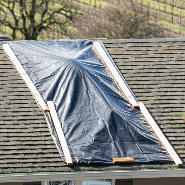 10 Mil Black Crawl Space Vapor Barrier | Farm Plastic Supply